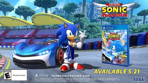 Team Sonic Racing - PS4 SEGA - Sega - PlayStation 4 משחקים