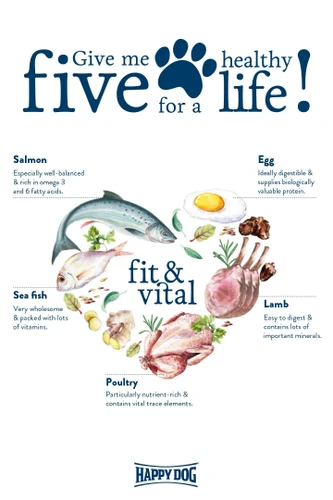 הפי דוג בוגר מיני 10ק"ג אוכל יבש לכלבים מגזע קטן Happy Dog - Happy Dog ...