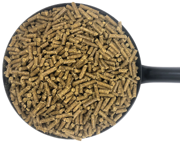 BUILD UP CONDITIONING CUBES 20kg DODSON & HORRELL - DODSON & HORRELL ...