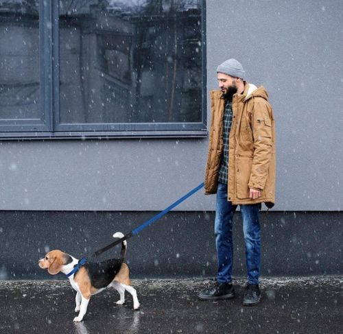 רצועת באנג'י 120 ס"מ ורודה דוקו | DOCO - דוקו | DOCO - קולרים, רצועות ...