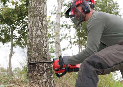 מסור שרשרת "14 סקיל 2 סוללות ומטען כפול