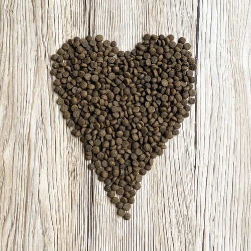 אוק'ס מזון לחתולים מבוגרים מסורסים 8+ סלמון ללא דגנים - 2 ק"ג - Oak's ...