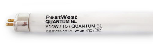 נורות לקטלן / חרקן - דגם: 14 וואט T5 קוונטום Quantom BL