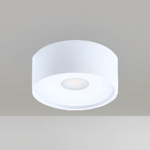 5074251 - צמודי תקרה