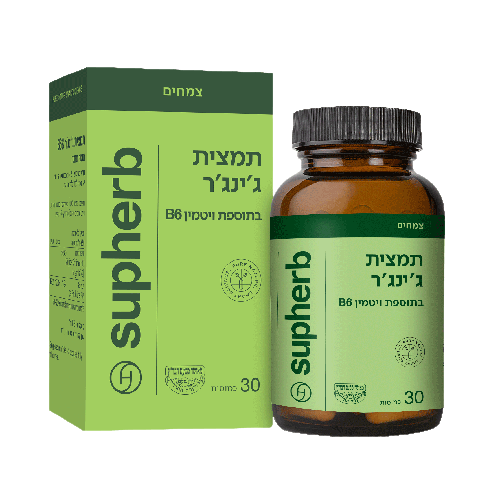 תמצית ג'ינג'ר | בתוספת B6 | מכיל 30 כמוסות | שילוב ייחודי של תמצית שורש ג'ינג'ר וויטמין B6 ...