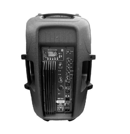 רמקול מוגבר PROTECH BM-815
