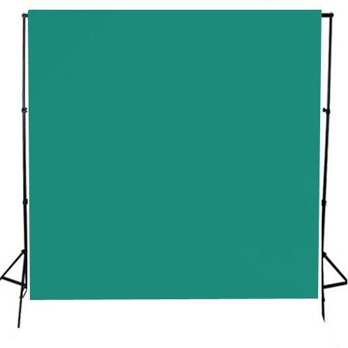 רקע נייר לצילום Creativity Pine 74