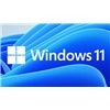 WINDOWS 11 Professional Hebrew 64Bit - מערכות הפעלה