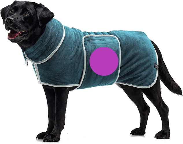 מגבת חלוק סגול L לכלבים פטילוקס | PETILUX - פטילוקס | PETILUX - מגבות ...