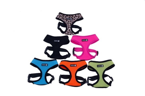 ריתמה רשת XS pets project - pets project - רצועות וקולרים