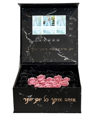 קופסא מנגנת LSD Box