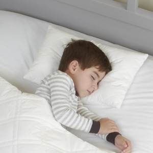 כרית רביצה - פינוק