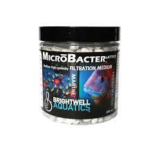 ברייטוול מיקרובקטר לטיס 500מ"ל microbacter lattice - Perfect Reef