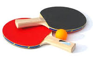 מחבט מקצועי לשולחן פינ פונג-ספורט מיכלין חיפה