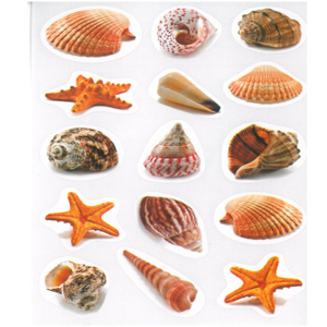 מדבקות אוניות וסירות ליצירה לקיץ - עט לכתוב - חומרי יצירה, ציוד לגני ...