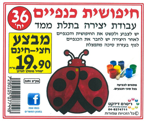 חיפושית כנפיים יצירה בתלת מימד - אביב