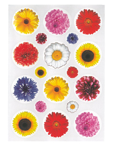 מדבקות פרחים 4 בשורה 18 מ"מ /מדבקידס - אביב