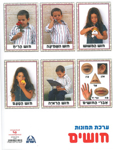 עבודת יצירה חמשת החושים עם גזירות - אני וגופי/רגשות