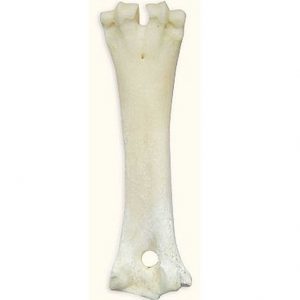 אבקת שיניים לחתול Vet's Best | חיש חי חנות חיות אונליין