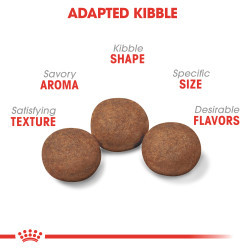 Royal Canin רויאל קנין מדיום פפי לגורי כלבים מגזעים בינוניים 4 ק''ג ...