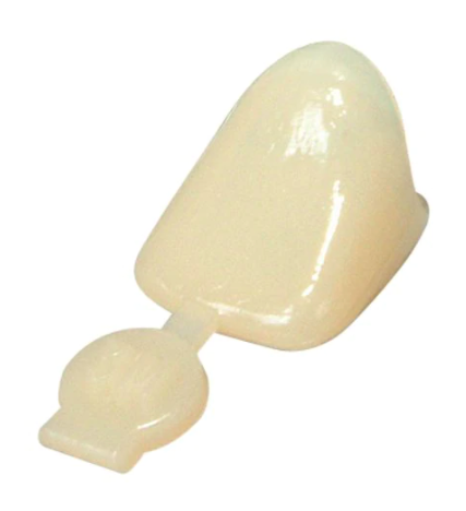 Polycarbonate crown refills #37 סולבנטום - Solventum - Polycarbonate Crown