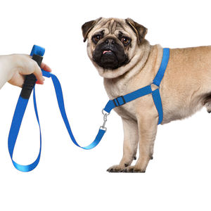 רצועת פלקסי לכלב – רצועה נמתחת חוט גודל S | חיש חי חנות חיות אונליין