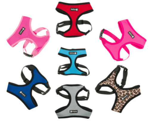 PetsProject רתמת רשת L פטס פרוג'קט - PetsProject - רצועות, קולרים ורתמות לכלבים