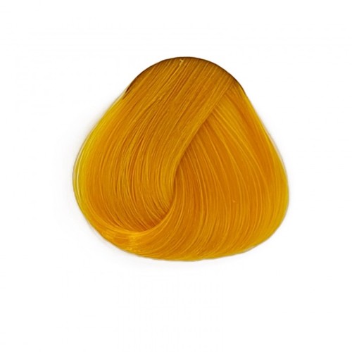 כתום חמנית - SUNFLOWER LA RICHE - LA RICHE - Directions La Riche לה ריץ'