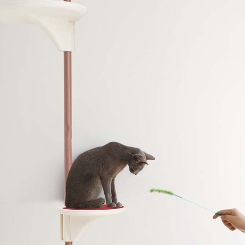 מתקן גירוד CATTYMAN טיפוס גבוה Doggyman - Doggyman - מתקני גירוד