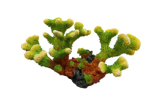 SH 320 - Perfect Reef