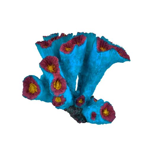 HCL 037B - Perfect Reef