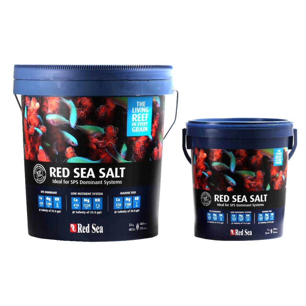 רד סי מלח כחול Red Sea Salt - red sea - מלחים