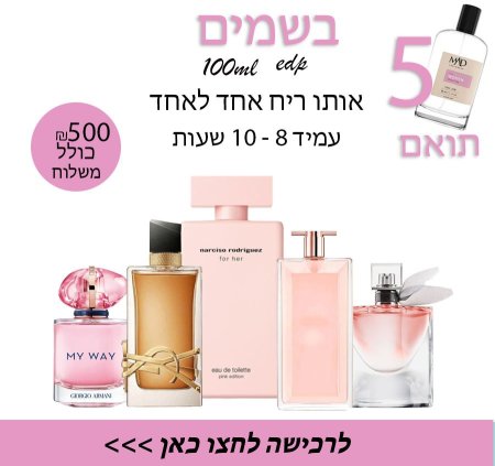 עבור לדף המבוקש