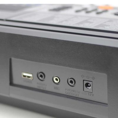 אורגנית TOKAI TK-80