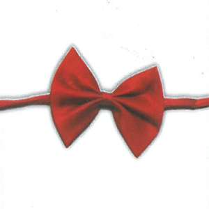 סרט כסף לכסא למסיבת סוף שנה בגן - עט לכתוב - ציוד לגני ילדים, חומרי ...