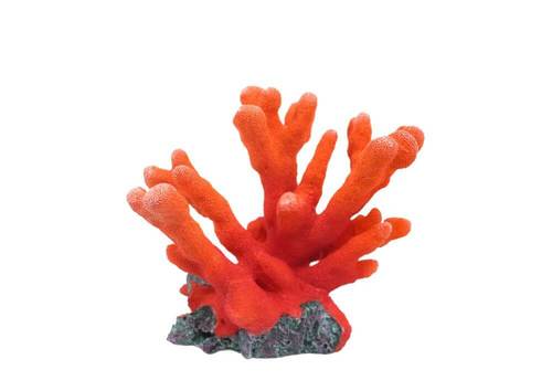 SH 326P - Perfect Reef