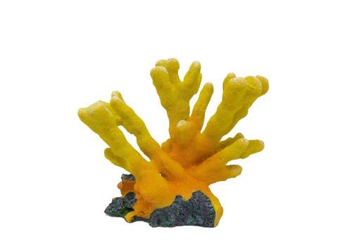 SH 326P - Perfect Reef